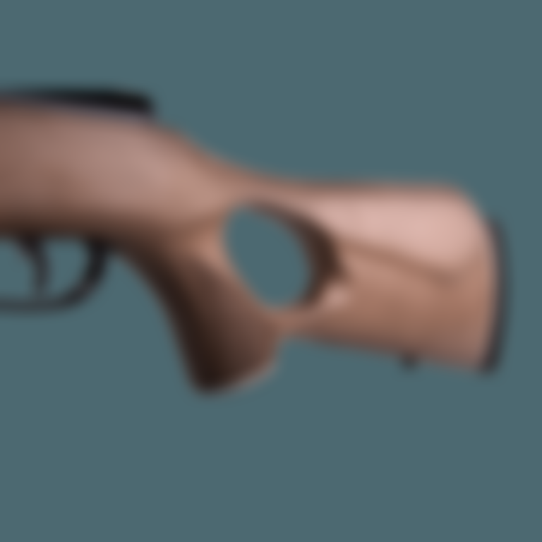 Benjamin Trail NP XL 1100 Break Barrel Air Rifle – Outdoorindians