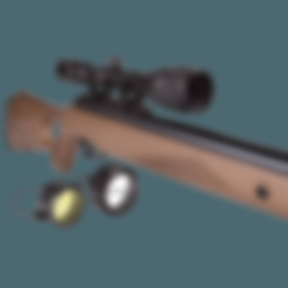 Benjamin Trail NP XL 1100 Break Barrel Air Rifle – Outdoorindians