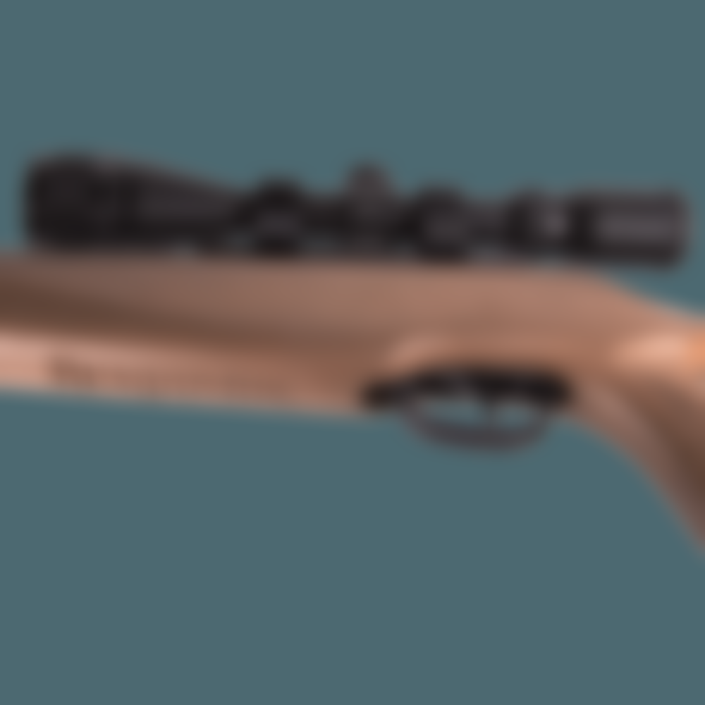 Benjamin Trail NP XL 1100 Break Barrel Air Rifle – Outdoorindians